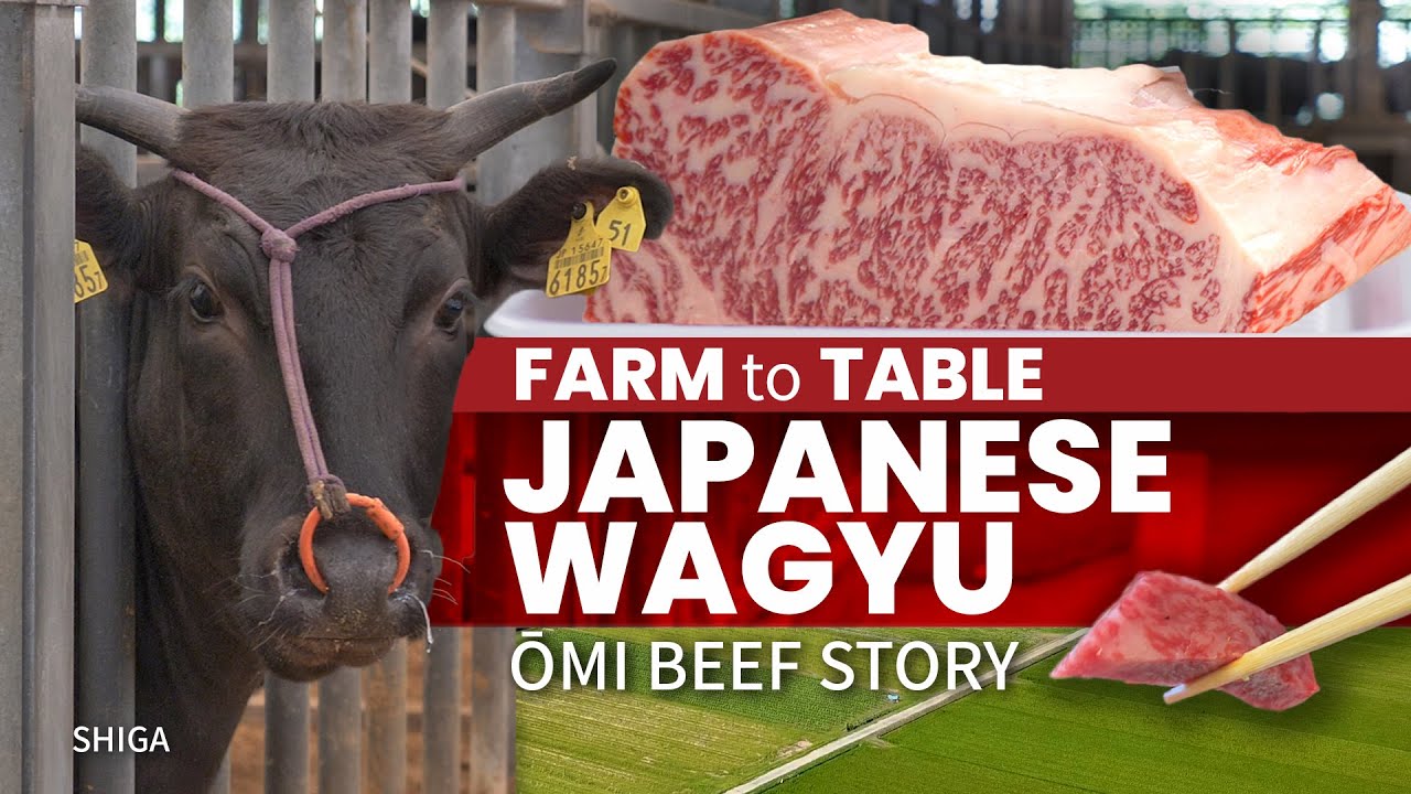 Omi beef Archives - ONLY in JAPAN