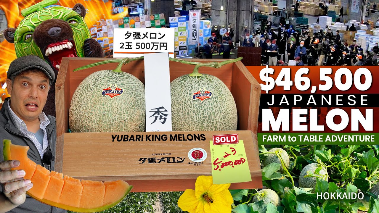 How Japanese Grow & Eat YUBARI KING MELONS | Farm to Table Adventure ...