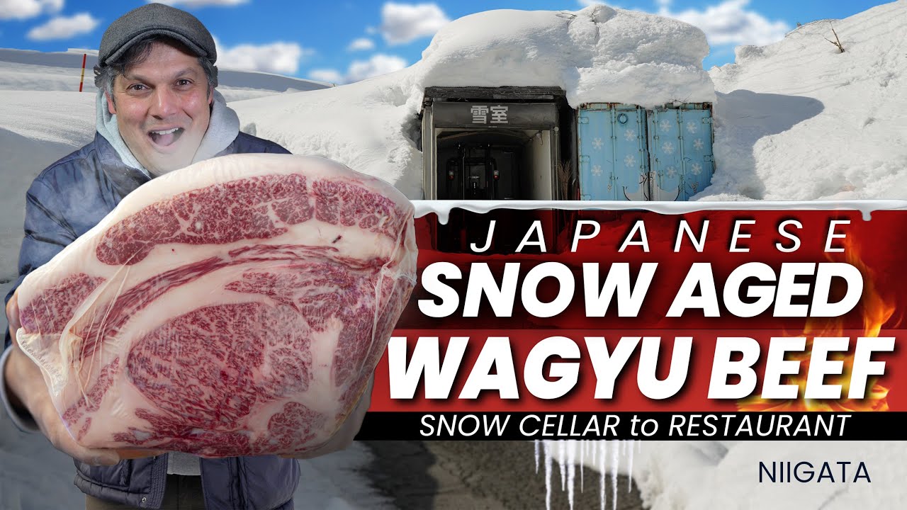 ONLY in JAPAN - Japan from the Inside Out